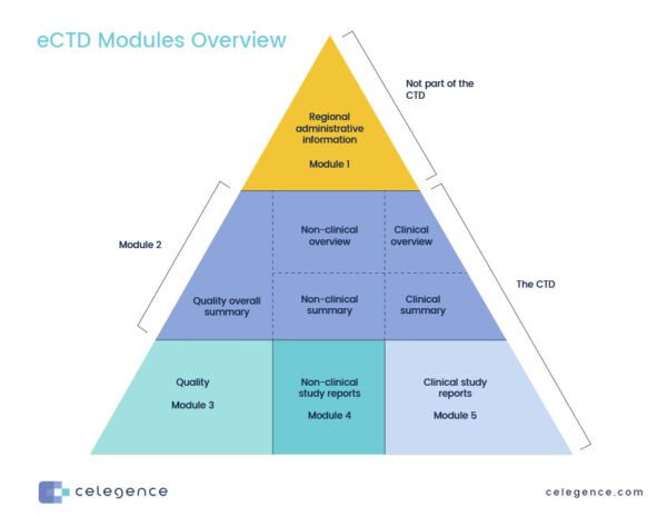 eCTD Modules and Formats Explained | Celegence