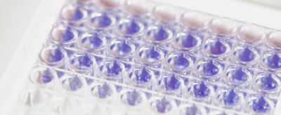 eCTD Modules and Formats Explained | Celegence