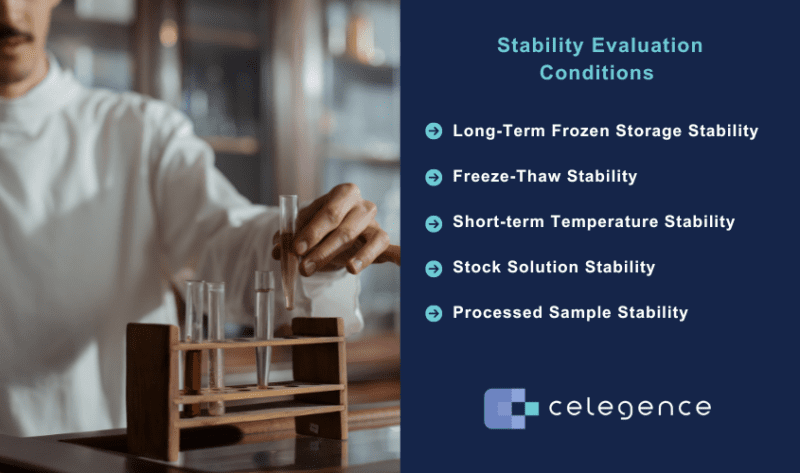 Stability Assessments in Bioanalytical Method Validation